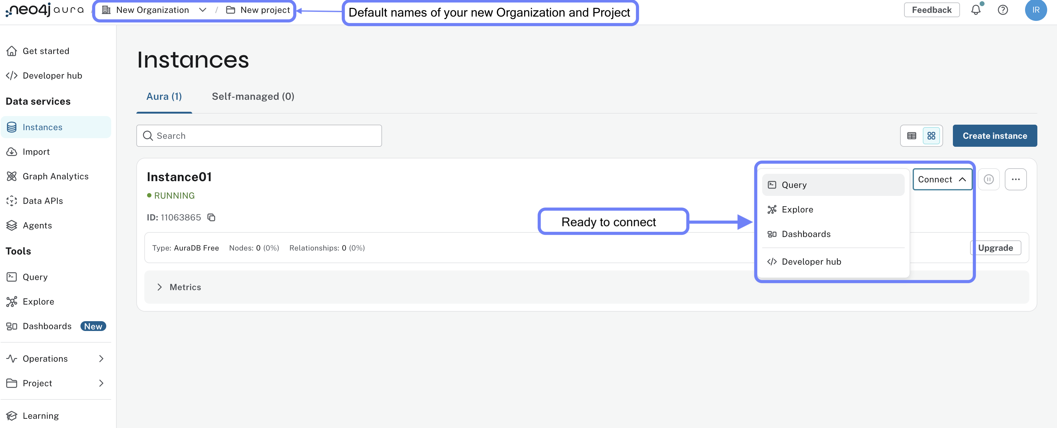 Create an instance | GraphAcademy